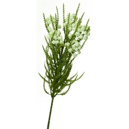 Achillea Spray (Milfoil) - Set of 5