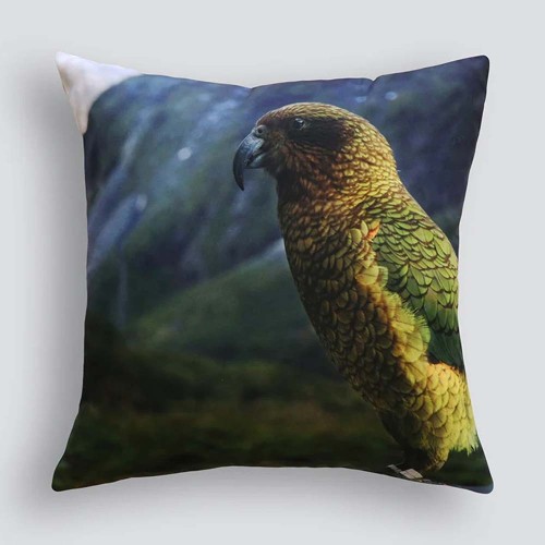 Shop Outdoor Cushions and Covers NZ - Baya, Ollo