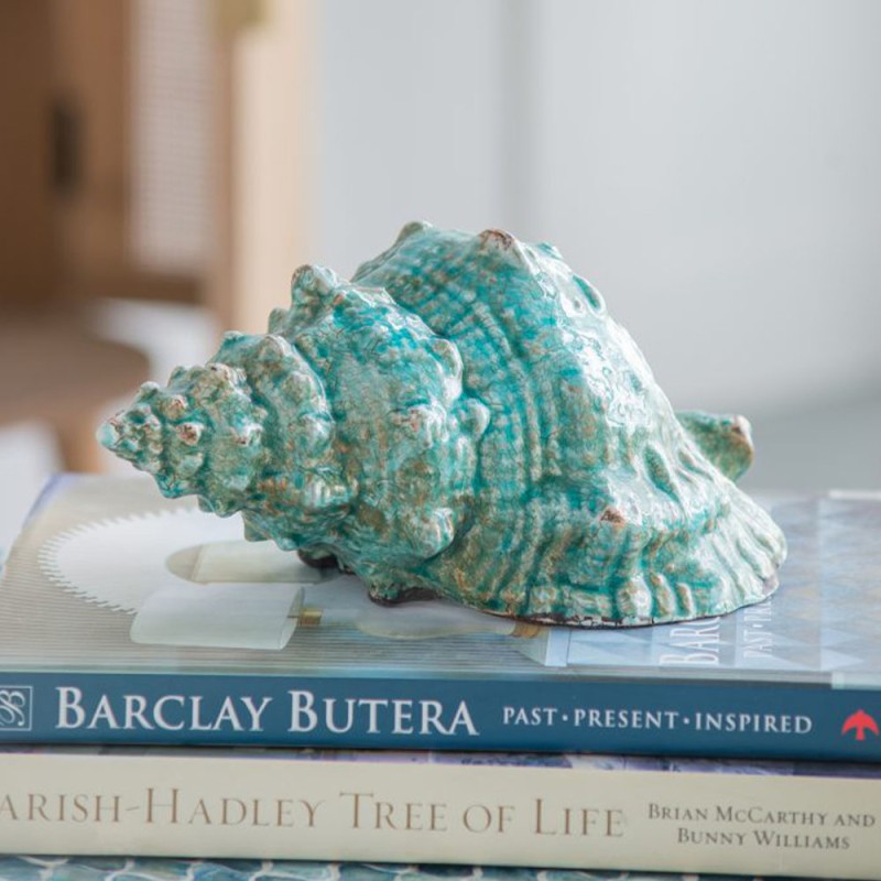 Decorative Seashell Accent