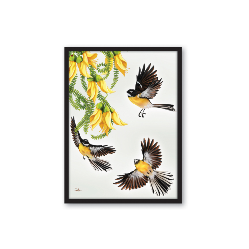 Fantail In Flight Framed Canvas Wall Art Print - Small